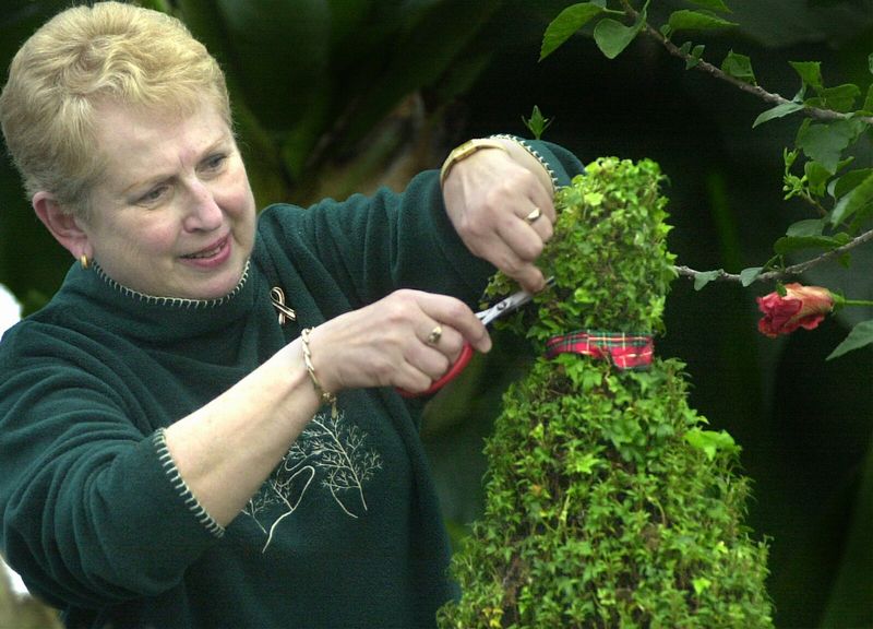 How To Make Living Plant Sculptures at Carl Moran blog