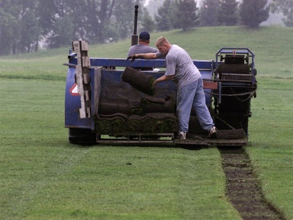 Grass-rooting movement | The Blade