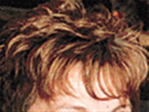 Lucas County recorder won t run for re-election | The Blade