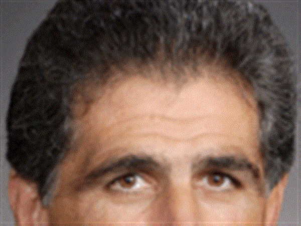 Lucas County Commissioner: Gerken vs. Barlos | The Blade