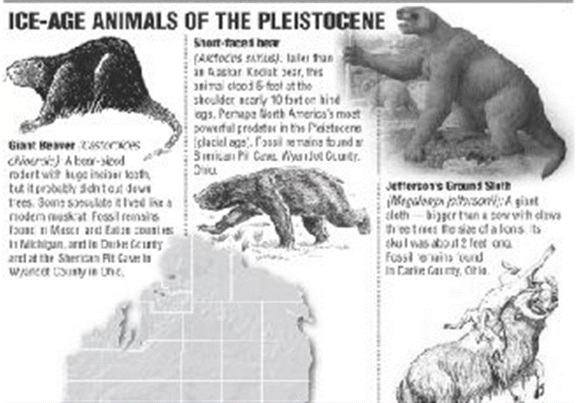 Real Ice Age Animals