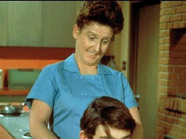 'Brady Bunch' DVD paints portrait of TV's perfect family | The Blade