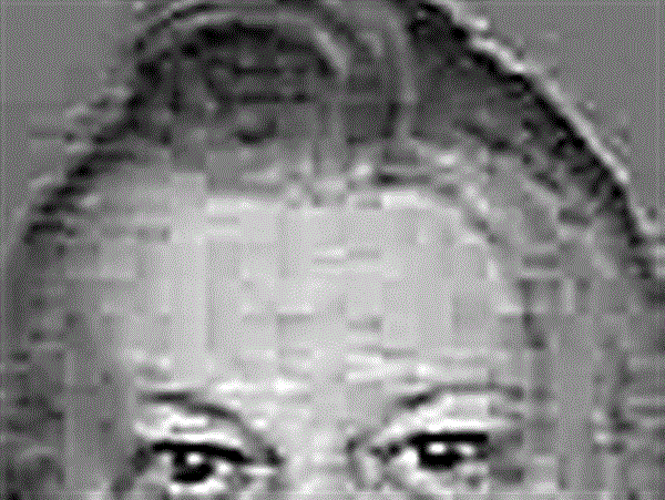 Appeal lost, Spirko attempts again to beat execution order | The Blade