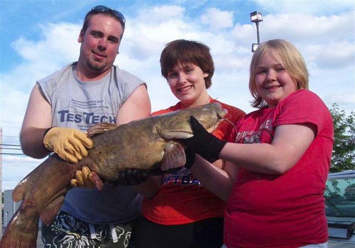 Flathead Catfish Catfish, Flathead, Mud Cat, Muddy, Shovelhead,