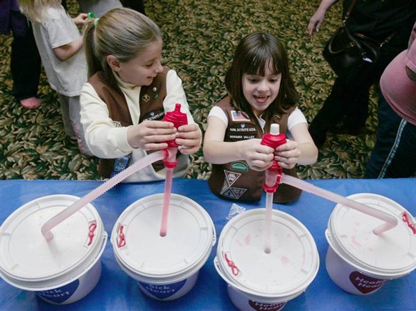 TIME FOR FUN AND LEARNING AT THE GIRL SCOUT COOKIE RALLY | The Blade