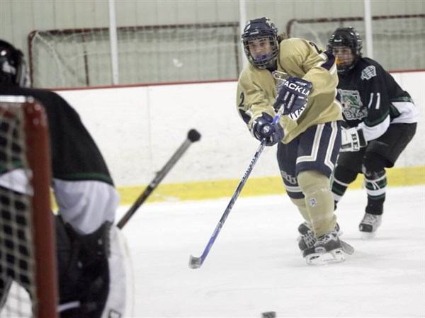 Sidelines: Titans seek state hockey title | The Blade