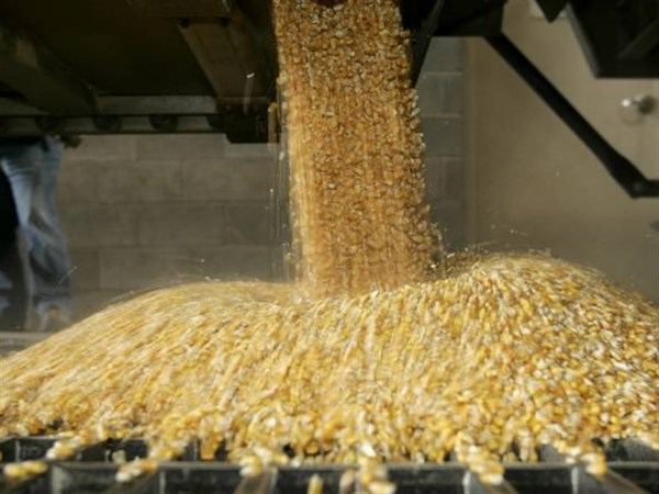 Biggest corn-planting in 60 years predicted | The Blade