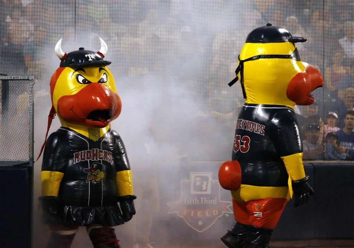 Toledo Mud Hens Mascot March 21, 2010 Kutztown, Pennsylvania, USA