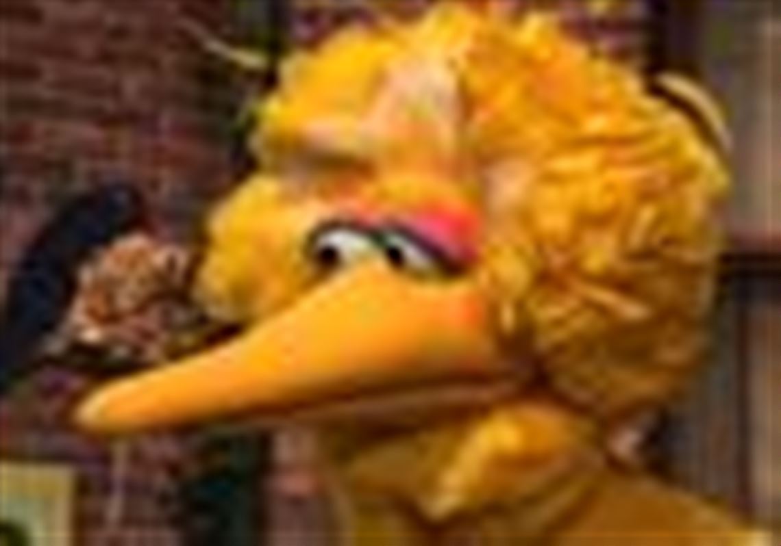 The Muppet Show Big Bird