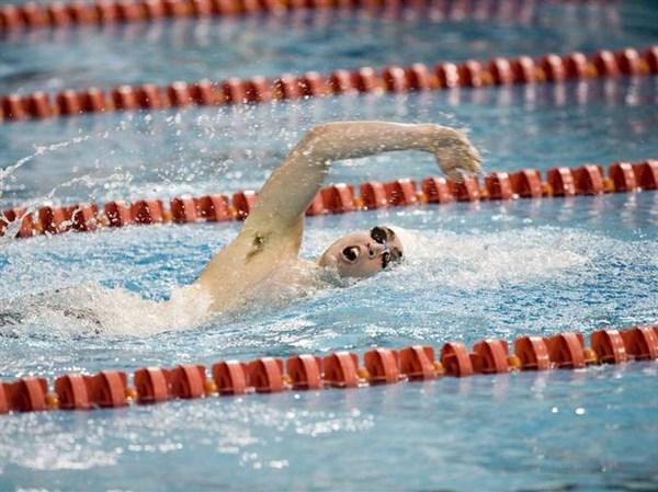 Speed is key to Olympic swim team | The Blade