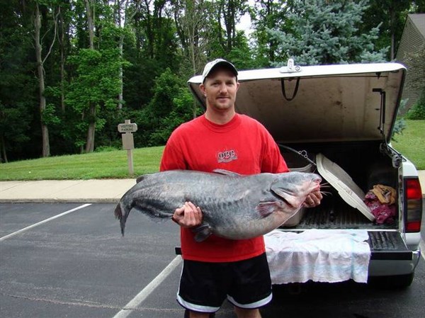 Record blue catfish taken in Ohio | The Blade