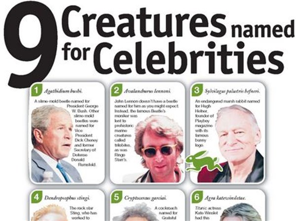 NINE CREATURES NAMED FOR CELEBRITIES | The Blade