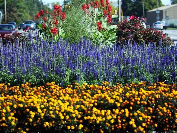 America in Bloom honors Toledo efforts with flowers, trees | The Blade