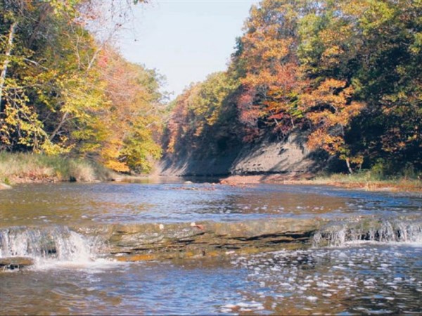 Reflections on a river: celebration 40 years of Ohio scenic streams ...