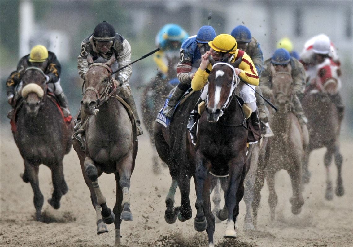 Rachel Alexandra Filly