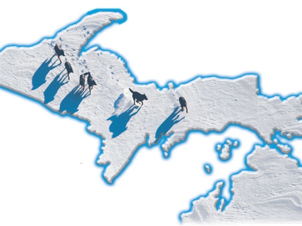 Toledo Magazine: Michigan's Upper Peninsula Wolves | The Blade