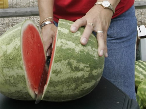 A guide to Ohio melons | The Blade
