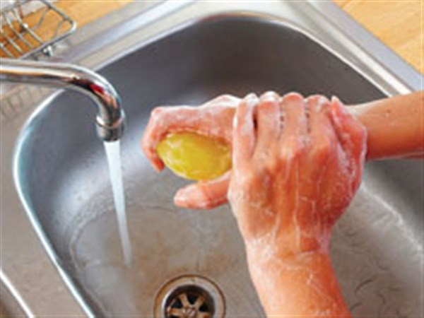 Tips to fend off germs lurking in your home | The Blade