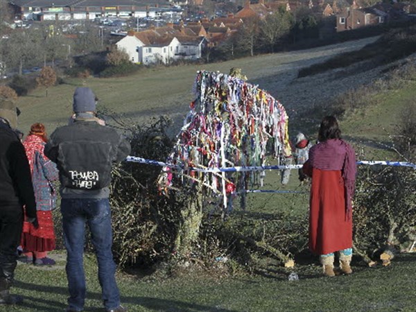 Famous Christian landmark tree chopped down in England | The Blade