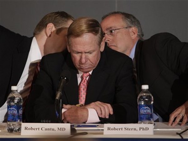 Study: Duerson had brain damage at time of suicide | The Blade