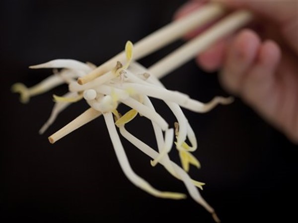 German veggie sprouts blamed for E. coli outbreak | The Blade