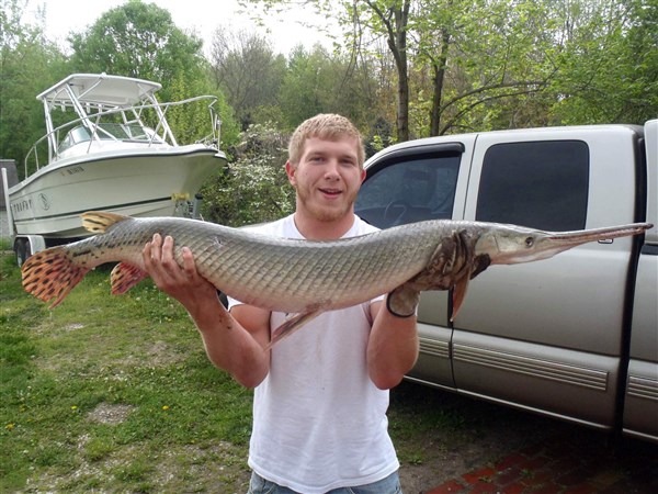 Akron bowman takes record longnose gar | The Blade