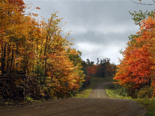 OSU Extension open year round | The Blade