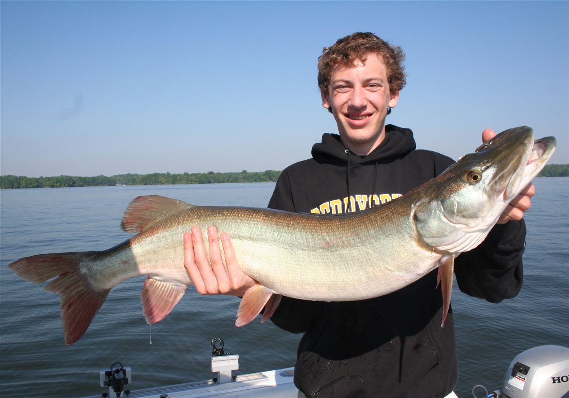 Record Muskie Teeth