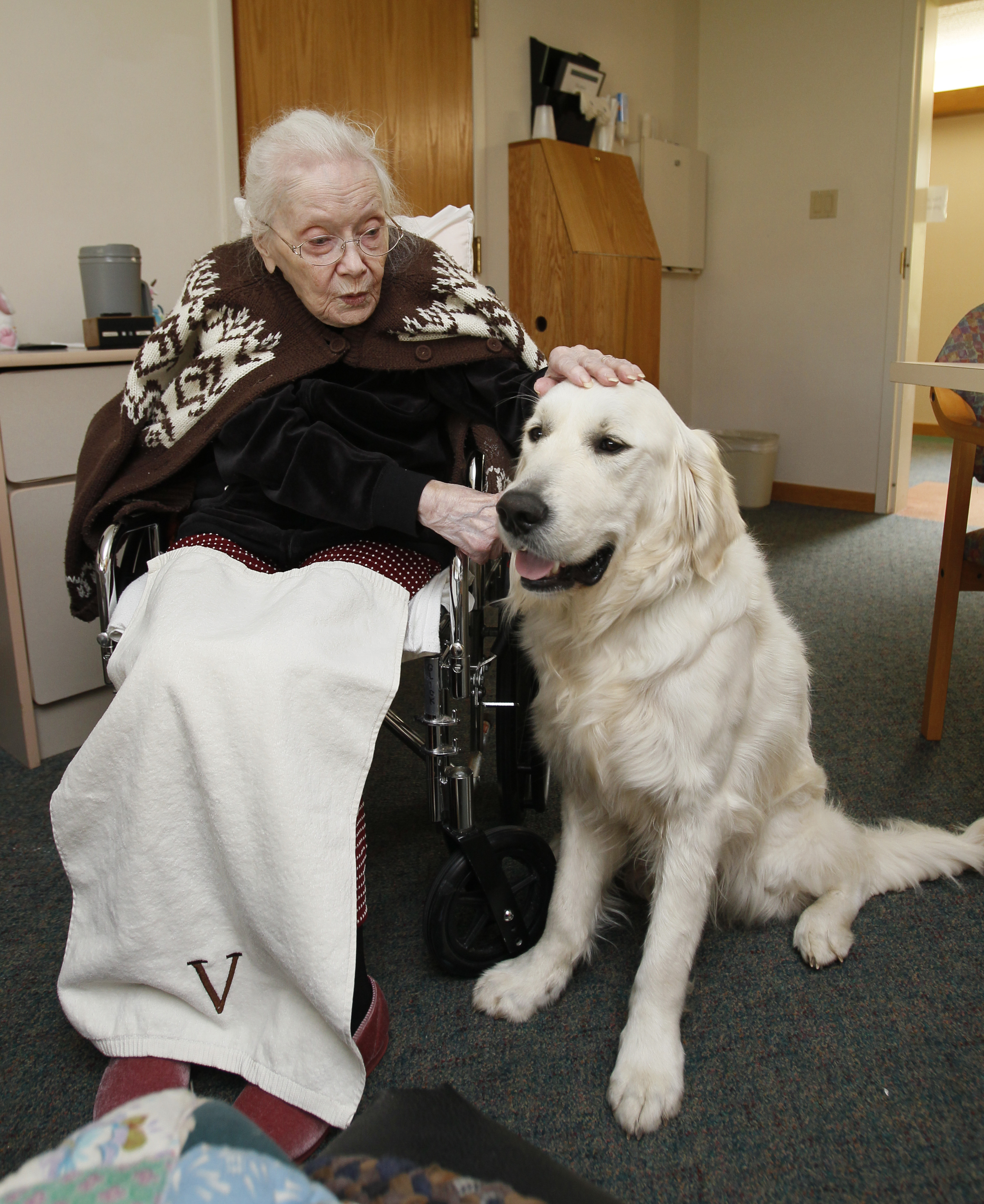 Therapy Dogs at work | Lipstick Alley