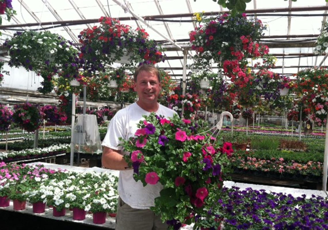 Flower Nursery Brighton Mi | Best Flower Site