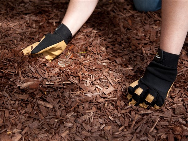 The Guy's Guide to Mulch | The Blade