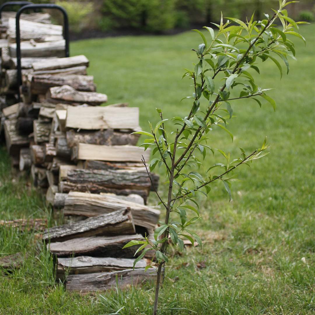 Weed It & Reap: Couple keeps it local - The Blade