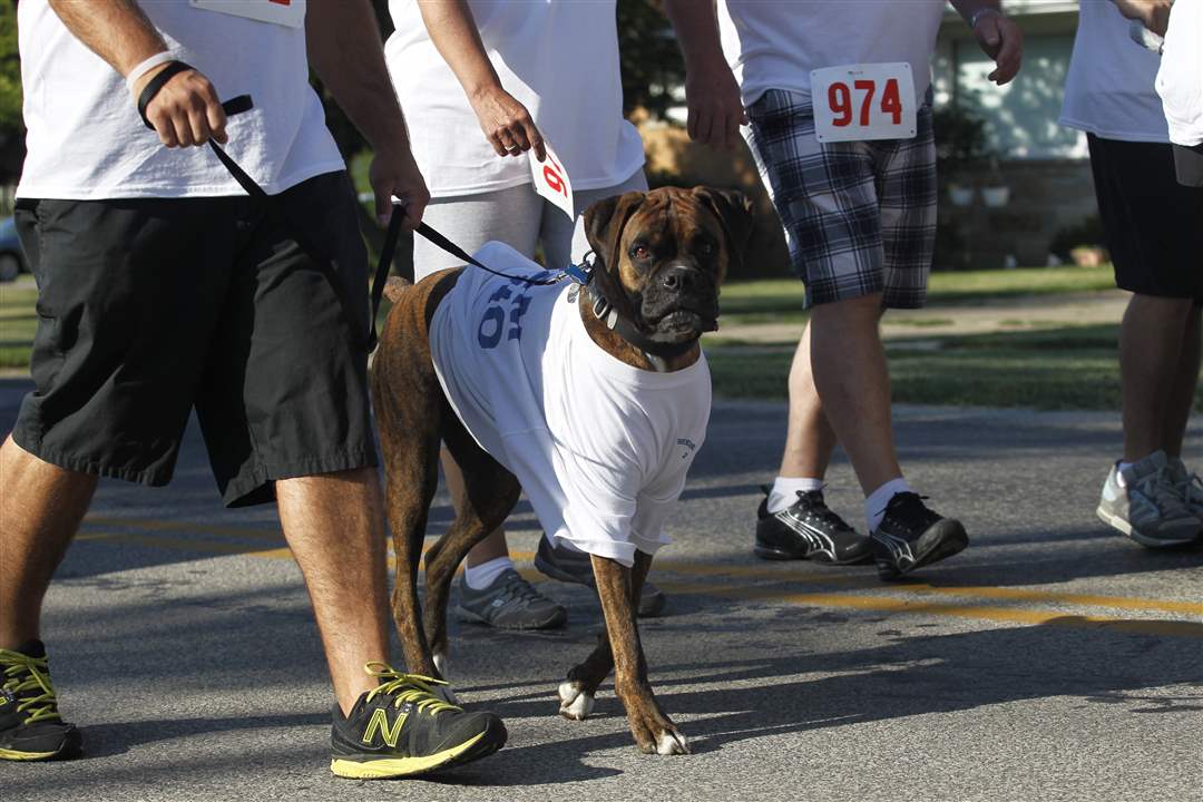 Free to Breathe 5K - The Blade