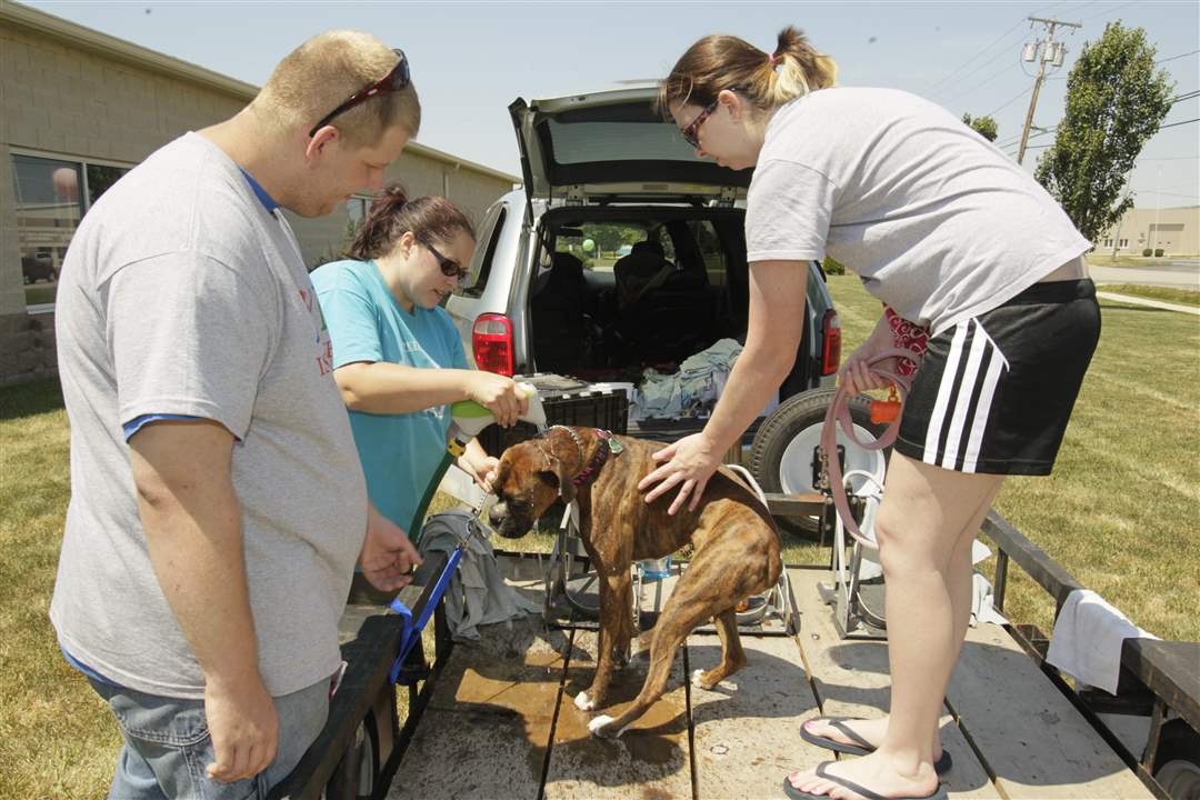 Planned Pethood dog wash - The Blade