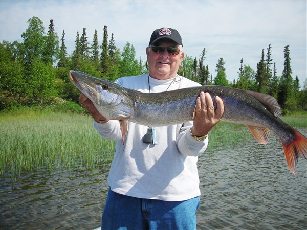 Toledoan snags rare silver pike on Canadian trip | The Blade