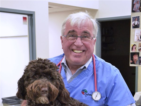 Safeguard your dog against fleas, ticks, local veterinarian says | The ...