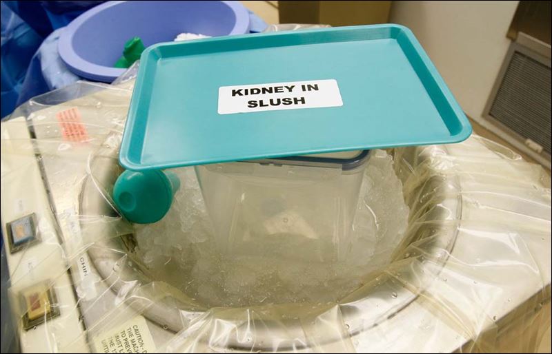 October | 2012 | Real Numeracy