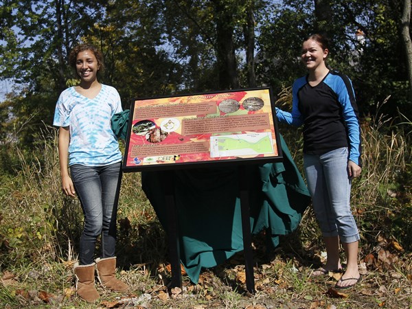 Sign depicts ash borers’ wrath | The Blade