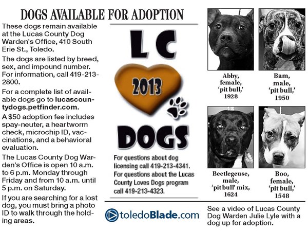 Lucas County dogs for adoption: 12-30 | The Blade