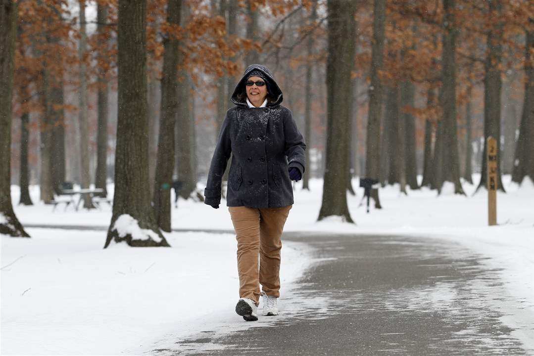 Snowy Olander Park - The Blade
