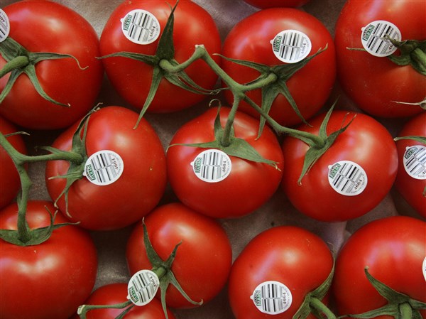 U.S., Mexico settle tomato war as anti-dumping probe ends | The Blade