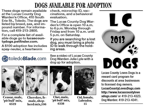 Lucas County dogs for adoption: 2-10 | The Blade