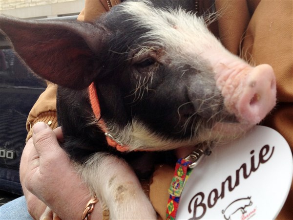 Thousands gather at Iowa State Fairgrounds in Des Moines for annual ...