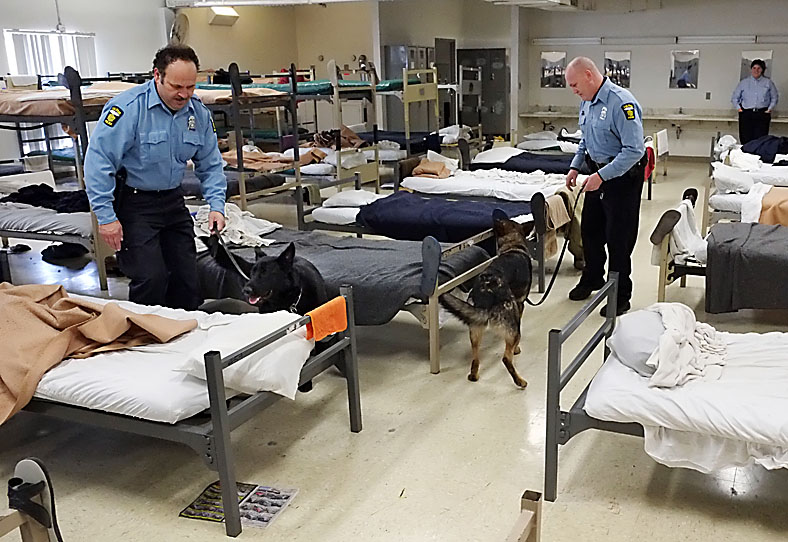 2 new dogs work to collar crime in city - The Blade