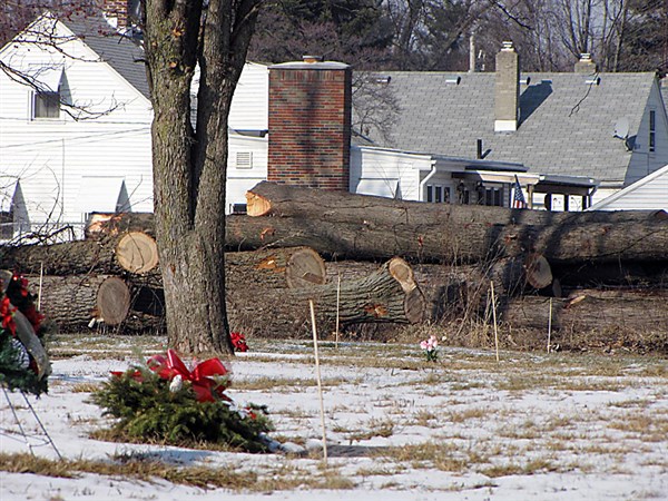 Casket firm clears trees at Toledo cemetery | The Blade