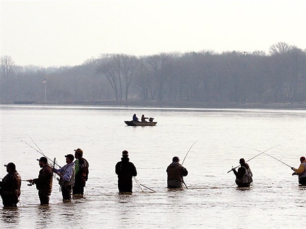 Walleye run on rivers provides tried, tested cure for cabin fever | The ...