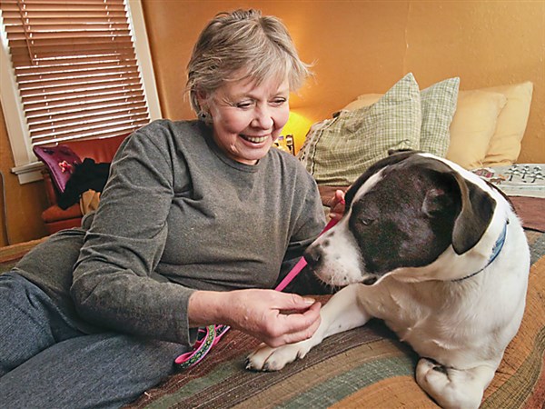 Foster homes help efforts to retrain dogs for adoption | The Blade