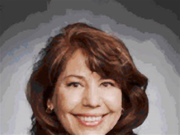 Business owner Sandy Spang announces run for Toledo Council seat | The ...