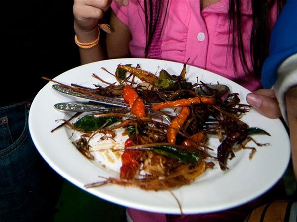 UN: Put more nutritious insects in your diet; Coming soon to your ...
