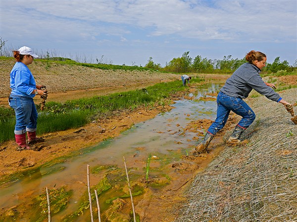 Smith Ditch restoration enters last stage | The Blade